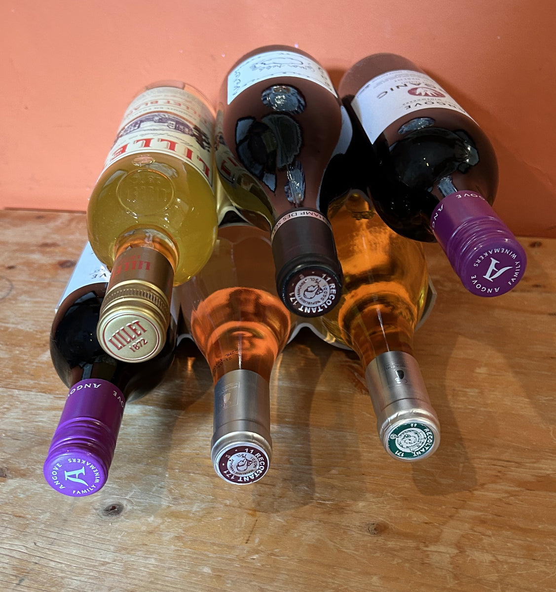 RakaStaka Wine - Space-Saving Wine Racks Ideal for in the Fridge (1 x